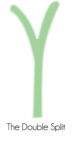 What Your Split Ends Are Telling You